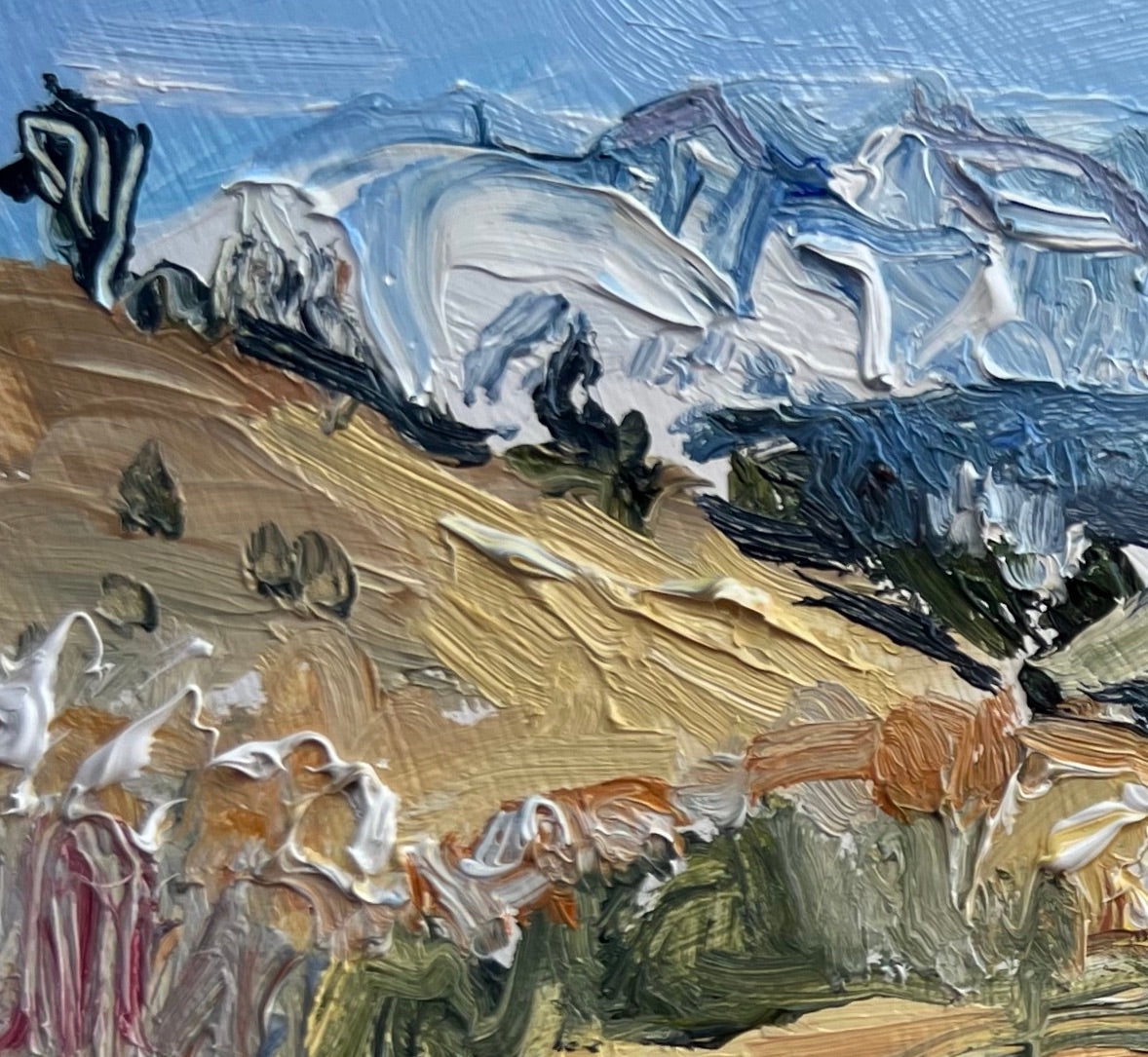 Shields Valley Revisited – Tandy Miles Riddle